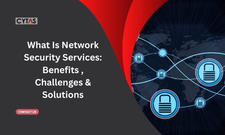 What Is Network Security Services? Complete Guide | CYTAS